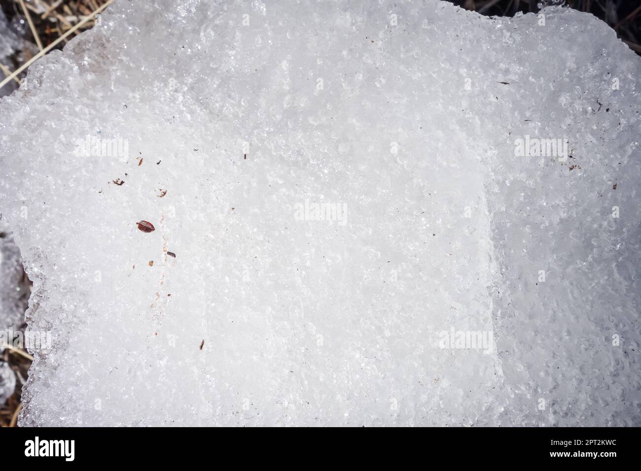 Pure white snow texture background. Wallpaper backdrop Stock Photo - Alamy