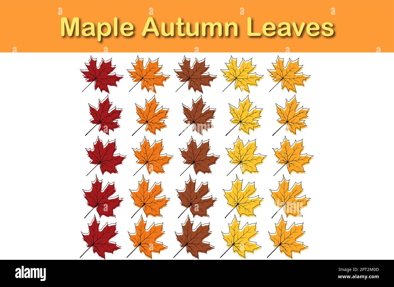 Set of realistic autumn leaves vector maple hi-res stock photography ...