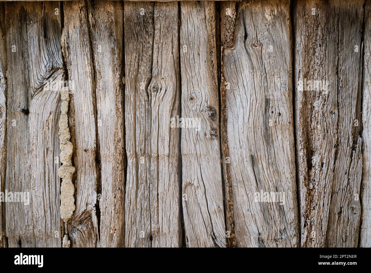 front view closeup of rustic weathered brown barn wood background with ...