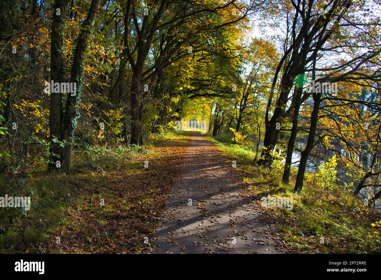 Impressionen aus dem Emsland - bei Meppen (Germany) Weg an der Hase ...