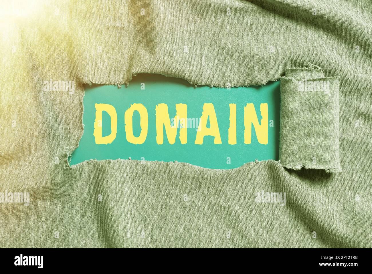 Writing displaying text Domain, Business idea identification string ...
