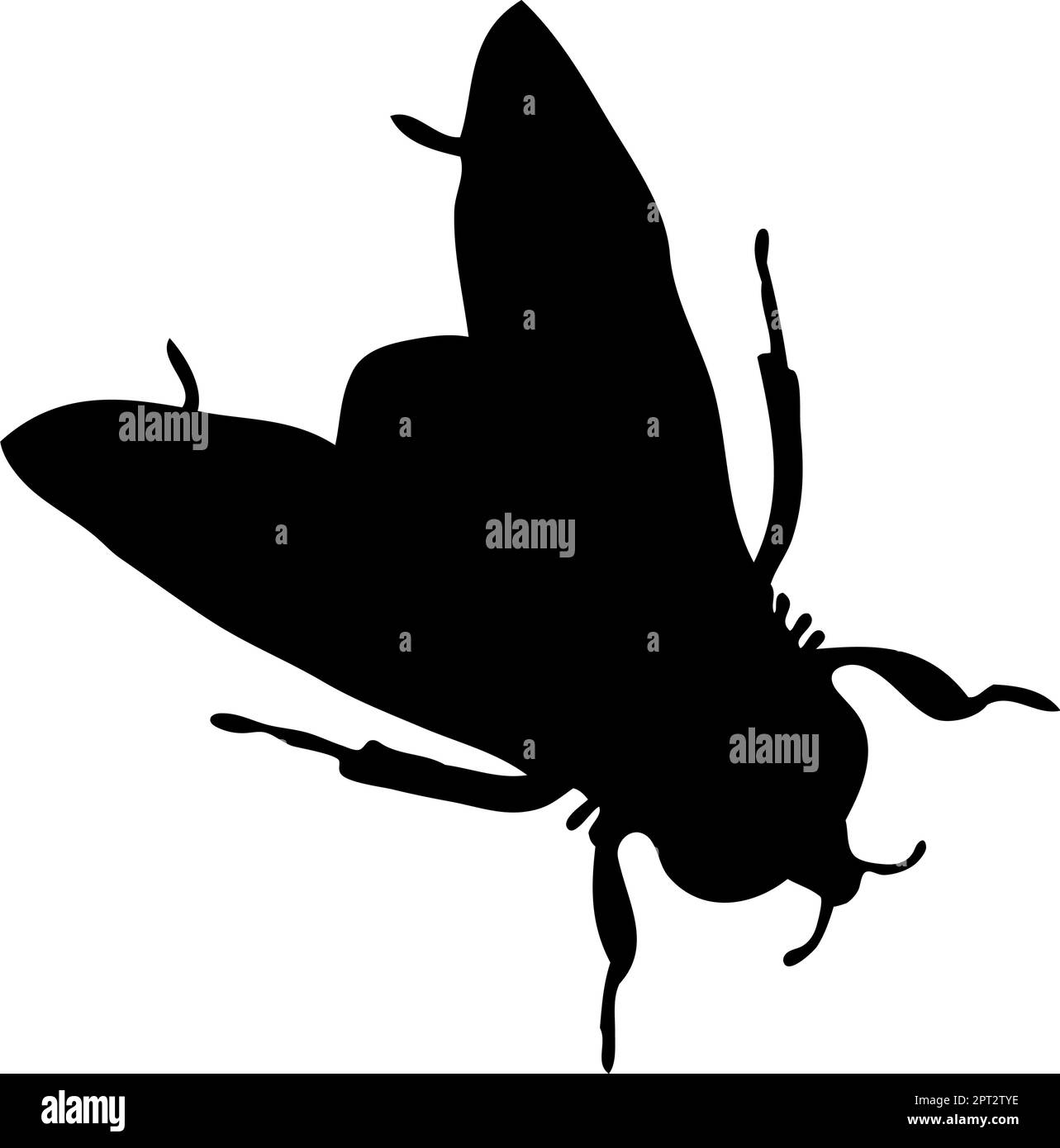House fly insect isolated silhouette hi-res stock photography and ...