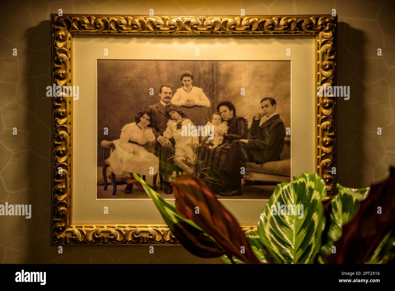 Arquitectura barcelona casa batllo hi-res stock photography and images ...