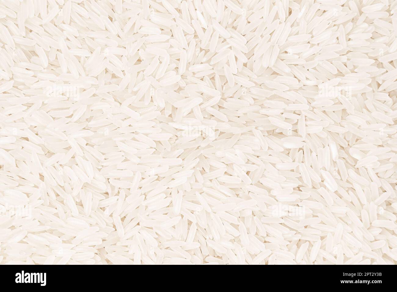 Rice grain, also known as the world's most consumed staple food, is a ...