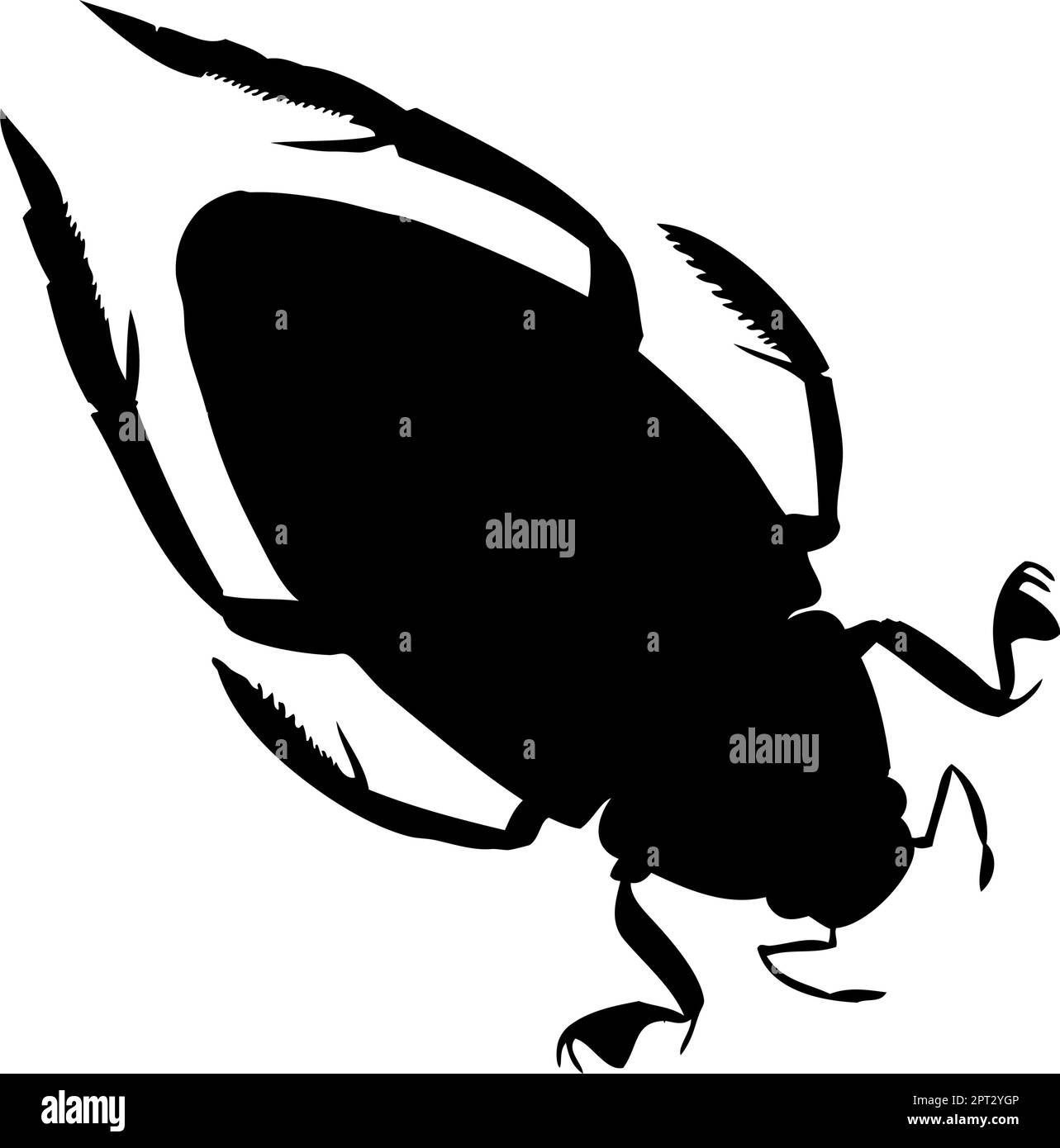 Huge beetle Stock Vector Images - Alamy