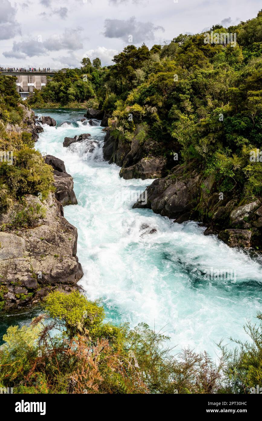 Waikato landscapes hi-res stock photography and images - Alamy