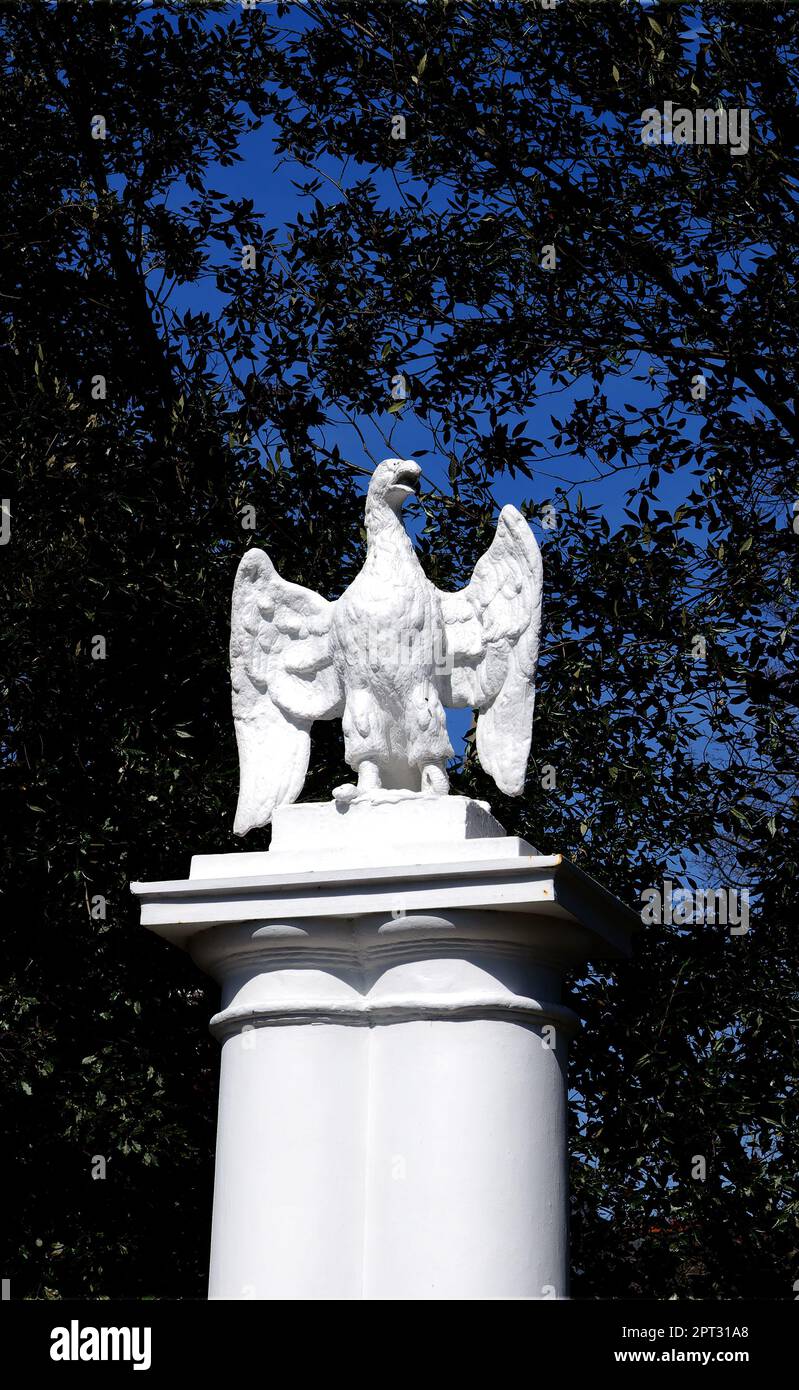 Statue of an phoenix with wings out on white stone column in Orme ...