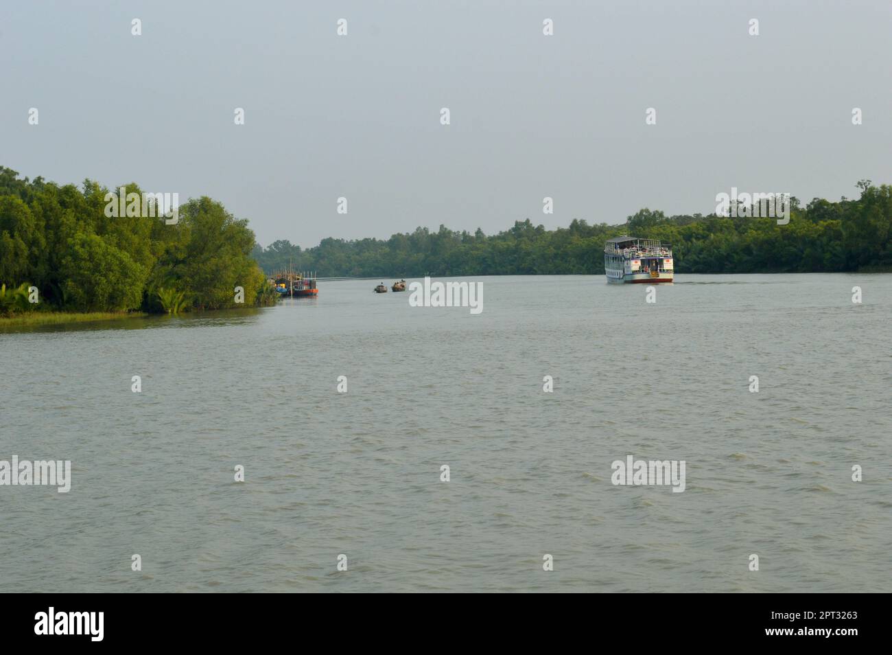 Natural beauty of Sundarban, beautiful mangrove sundarbon Stock Photo ...