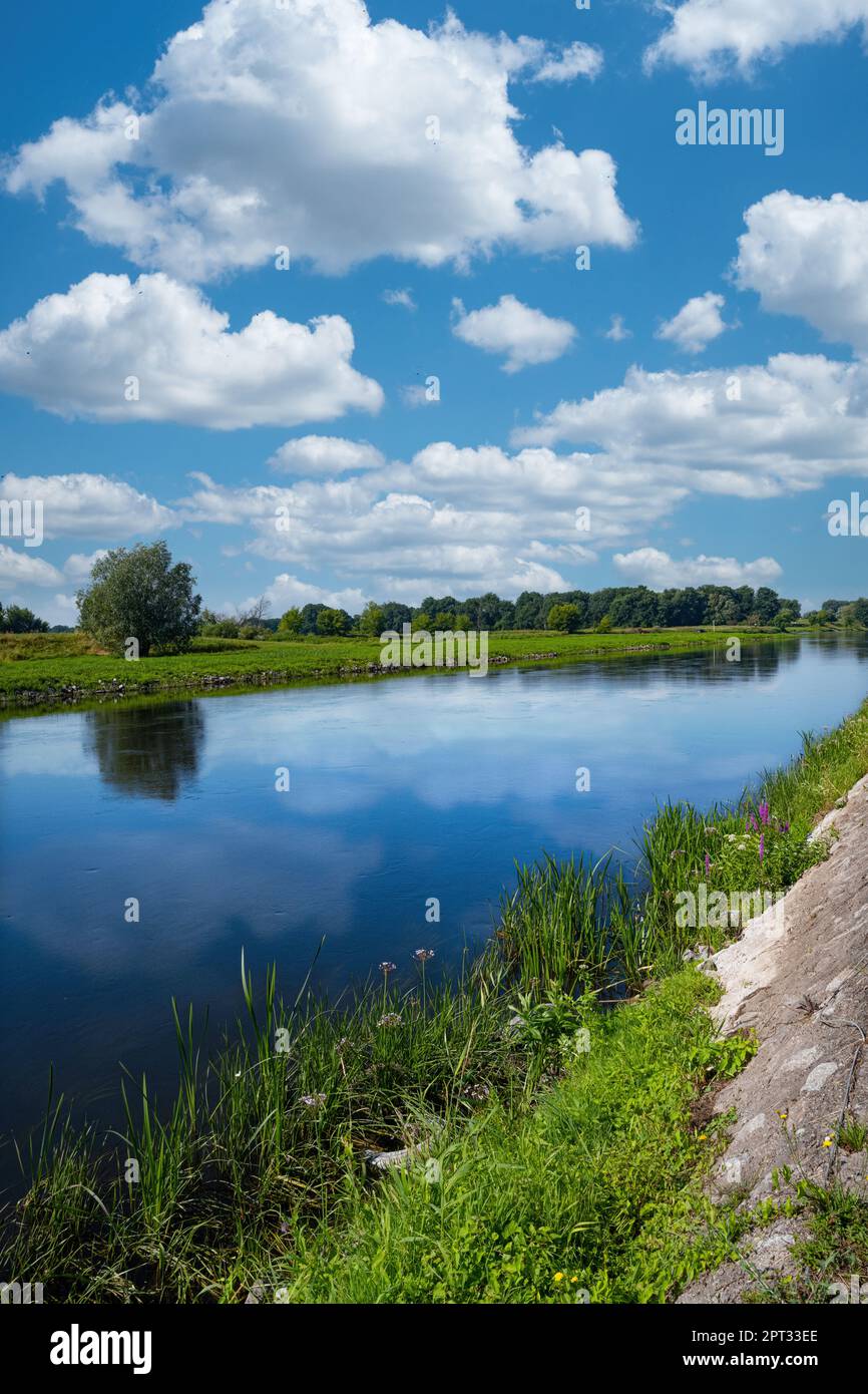 The beautiful and wild Warta River Stock Photo - Alamy