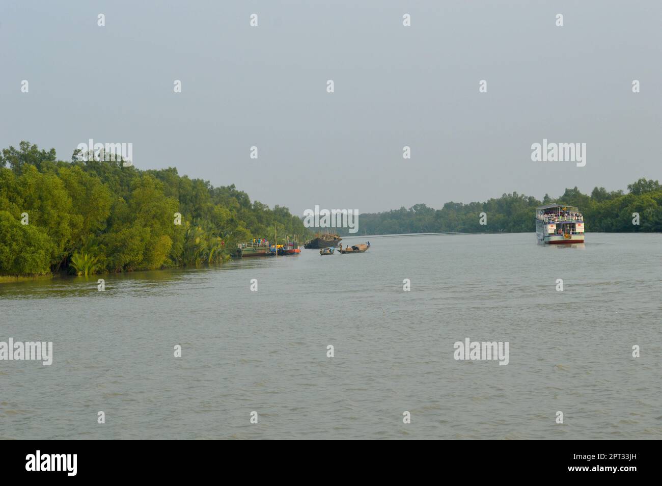 Mangrove sundarban, beautiful sundarban, nature of sundarbon Stock ...