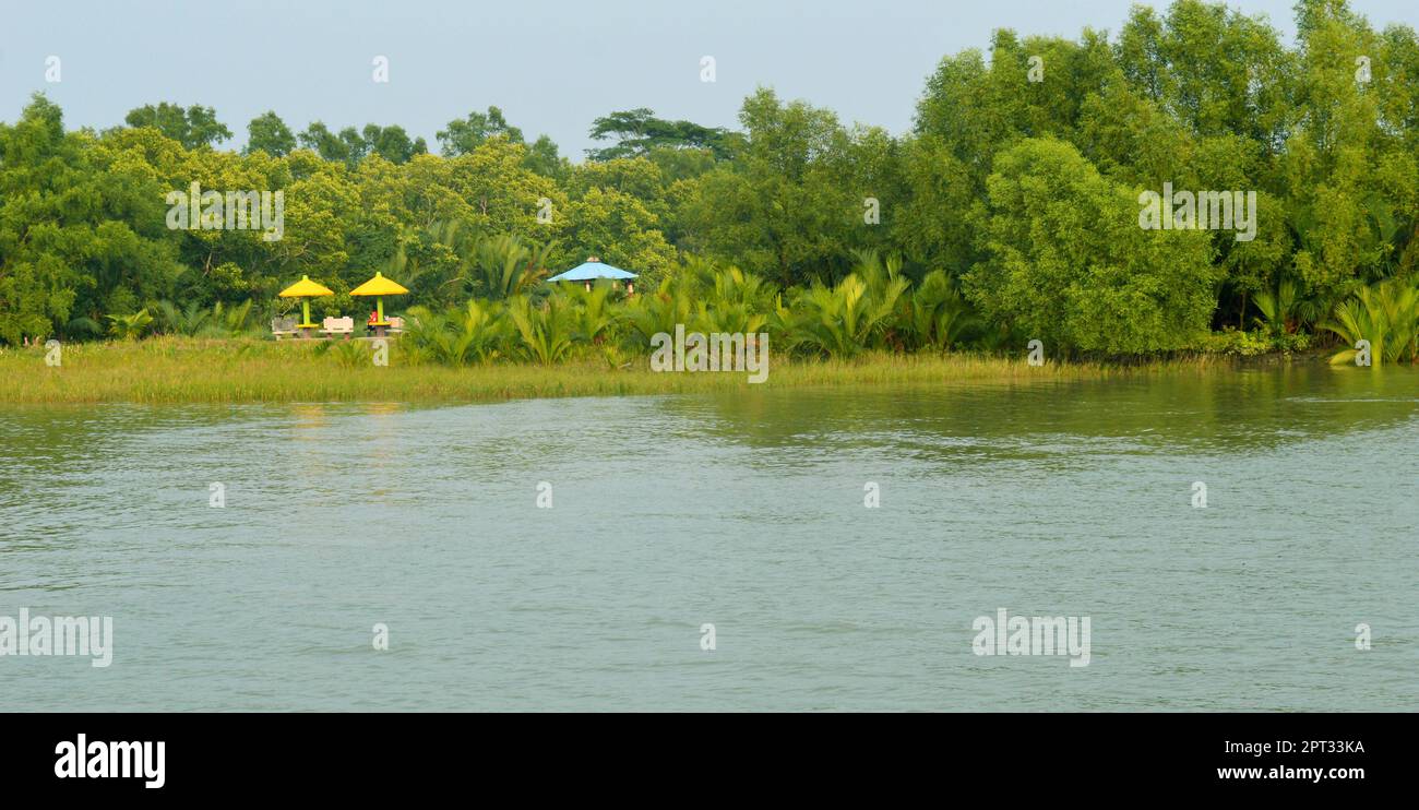 Mangrove sundarban, beautiful sundarban, nature of sundarbon Stock ...