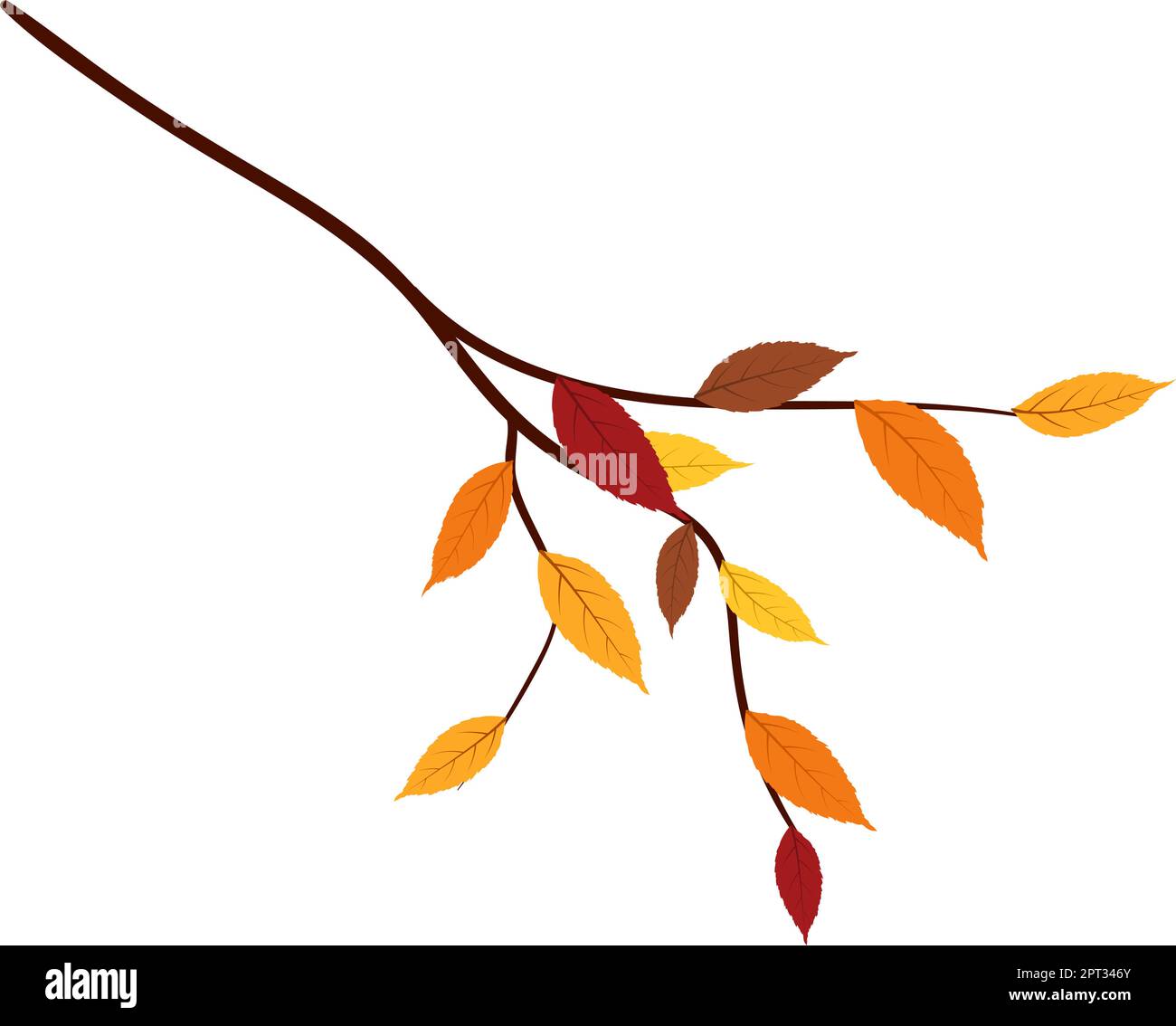 Yellow leaves ash tree Stock Vector Images - Alamy