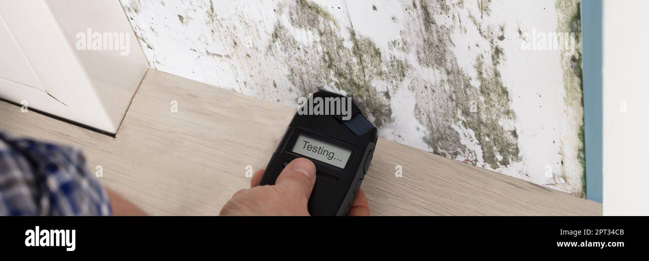 Mold Tester And Spores Test In House. Measure Wet Wall Stock Photo - Alamy