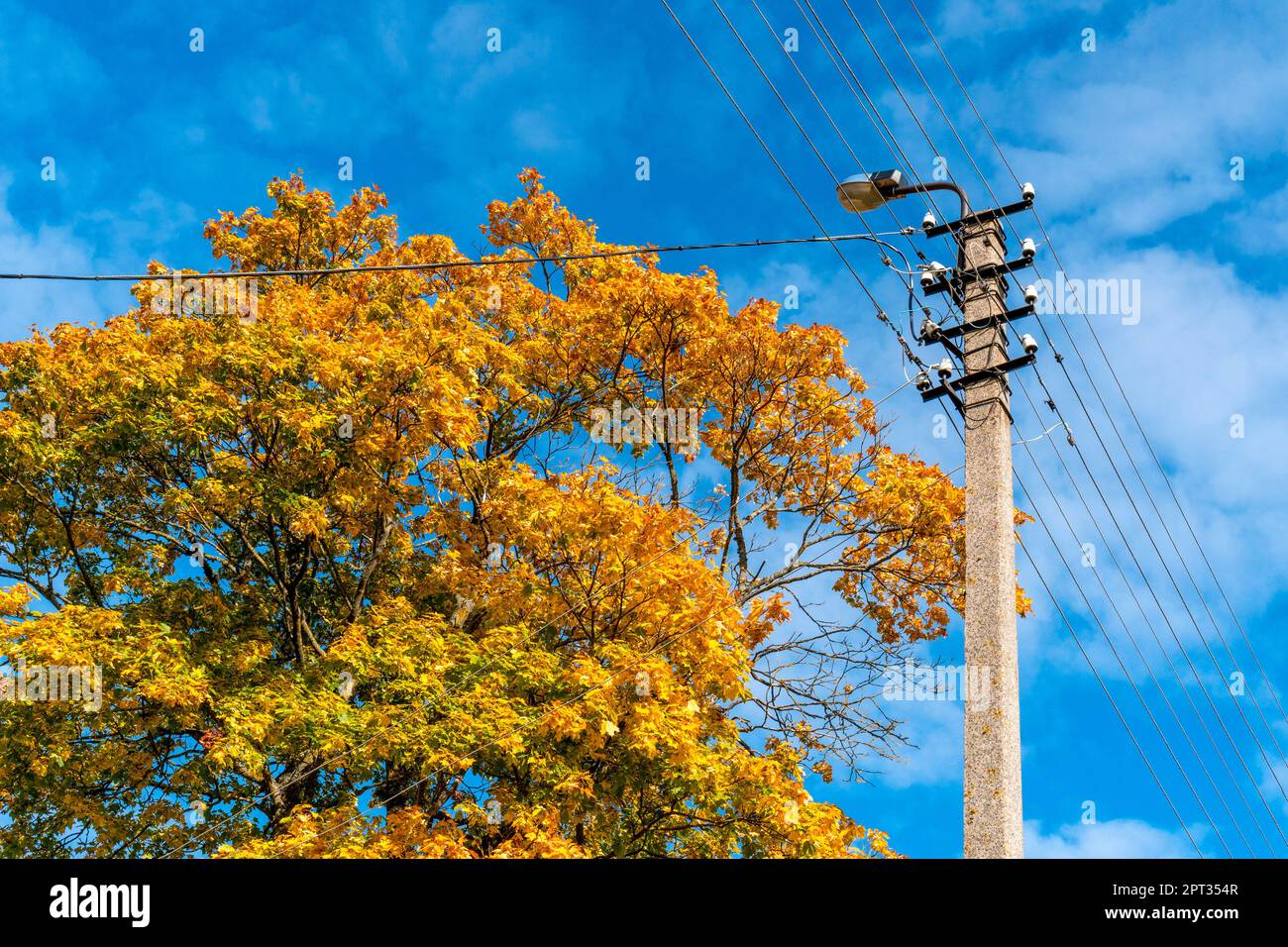 Electricity concrete pylon with power lines. Power grid on Golden ...