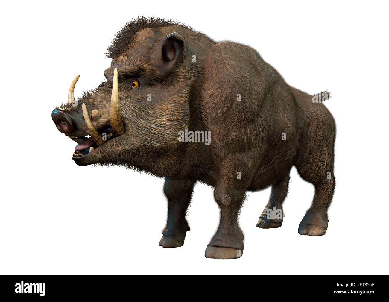 3D rendering of a wild boar isolated on white background Stock Photo ...