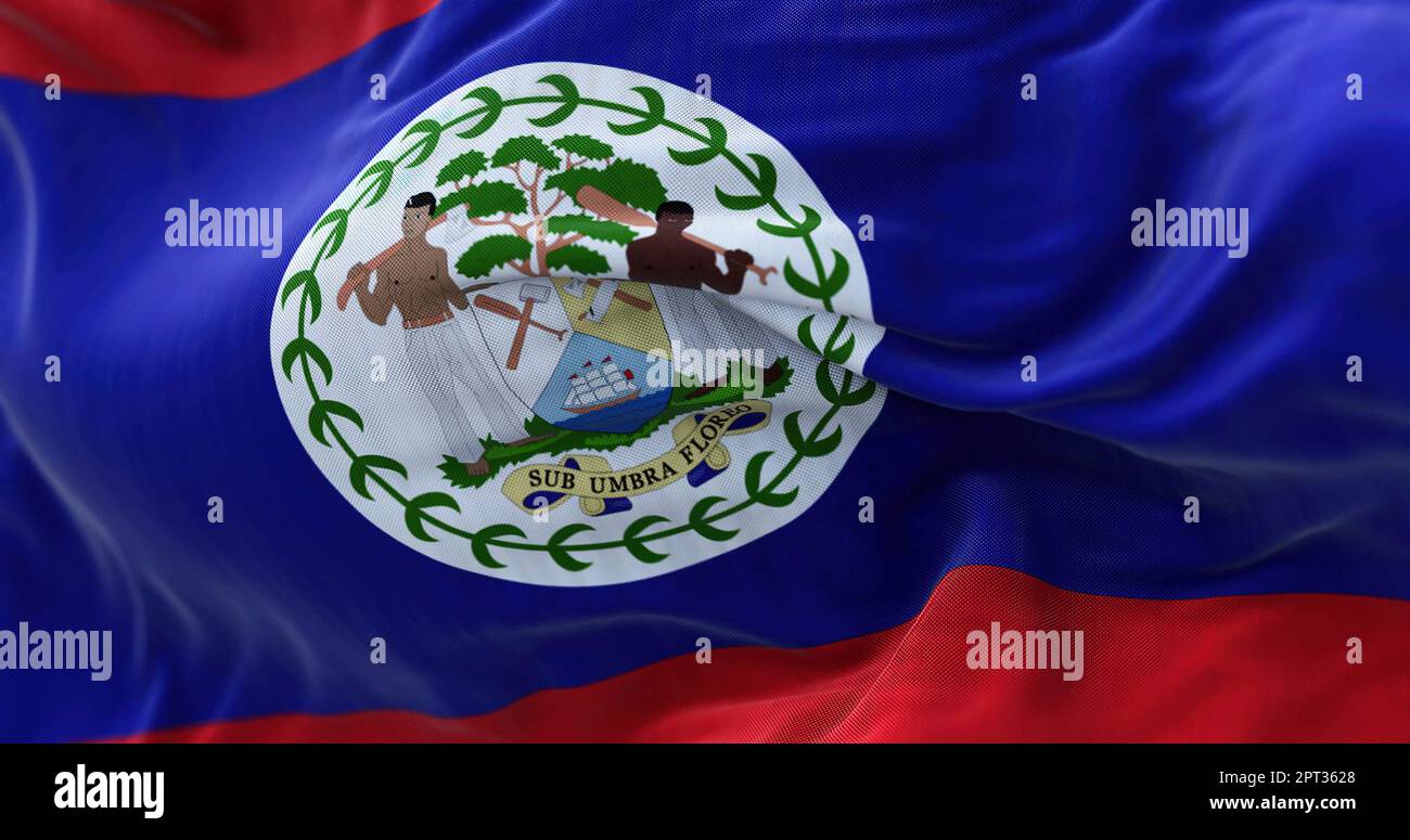Close-up view of the Belize national flag waving in the wind. Belize is ...
