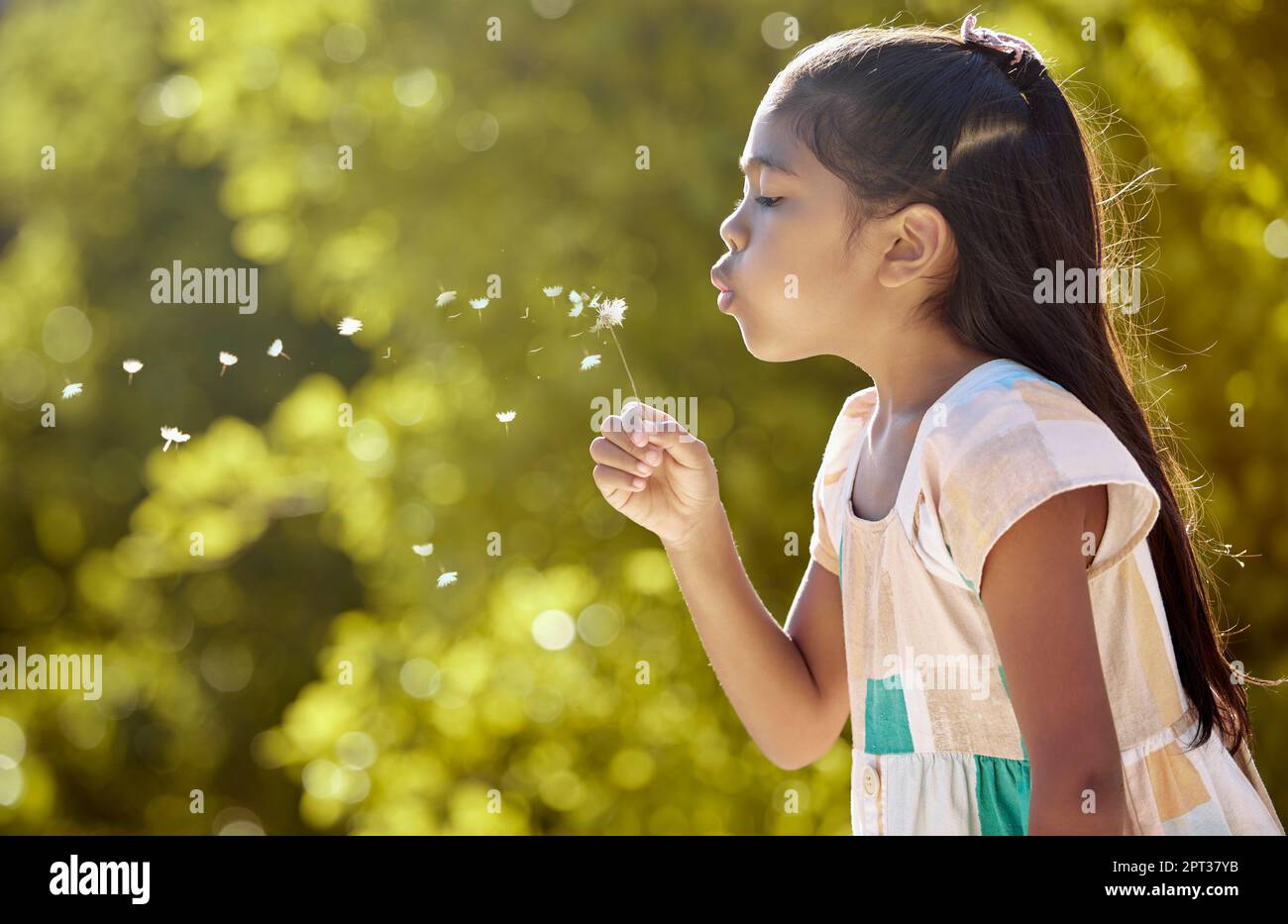 Dandelion blowing, nature and girl outdoor feeling zen and calm in ...