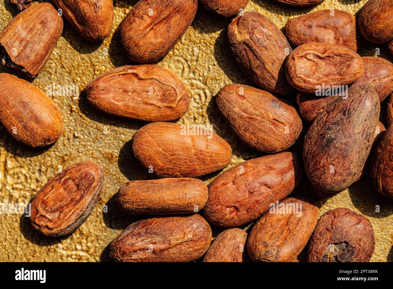 Brown cacao hi-res stock photography and images - Alamy