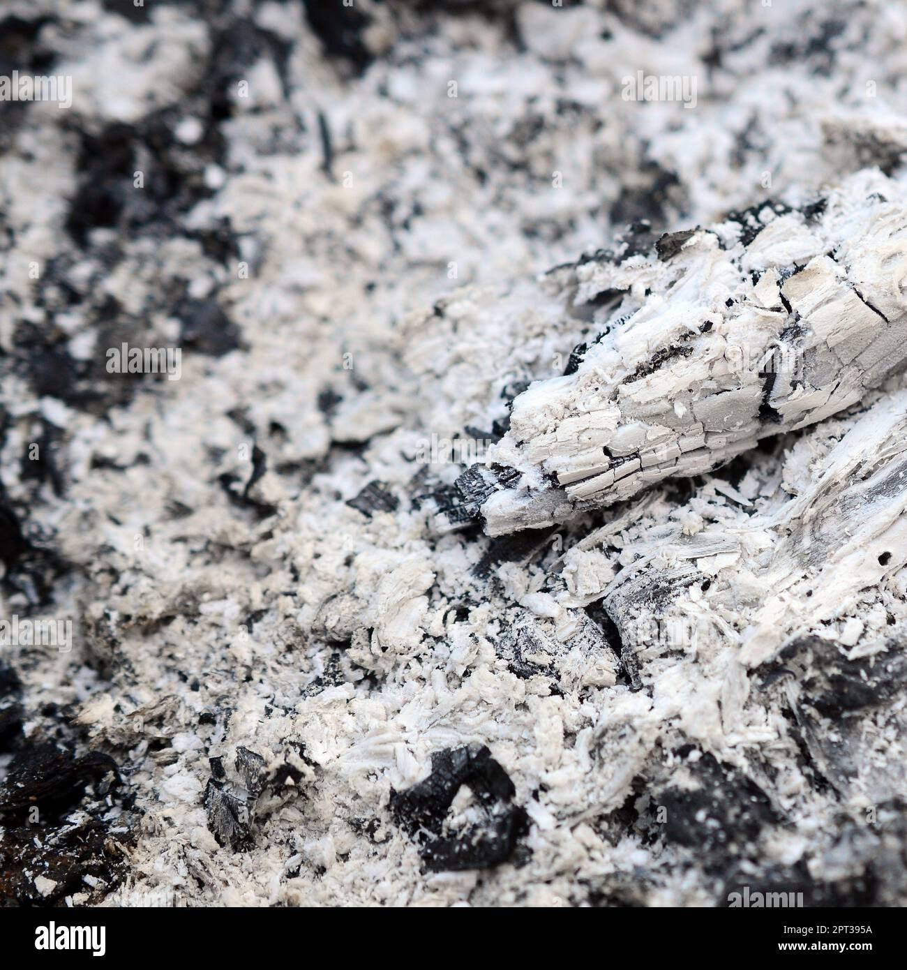 Pile of ashes after the fire went out grunge background texture. Burned ...