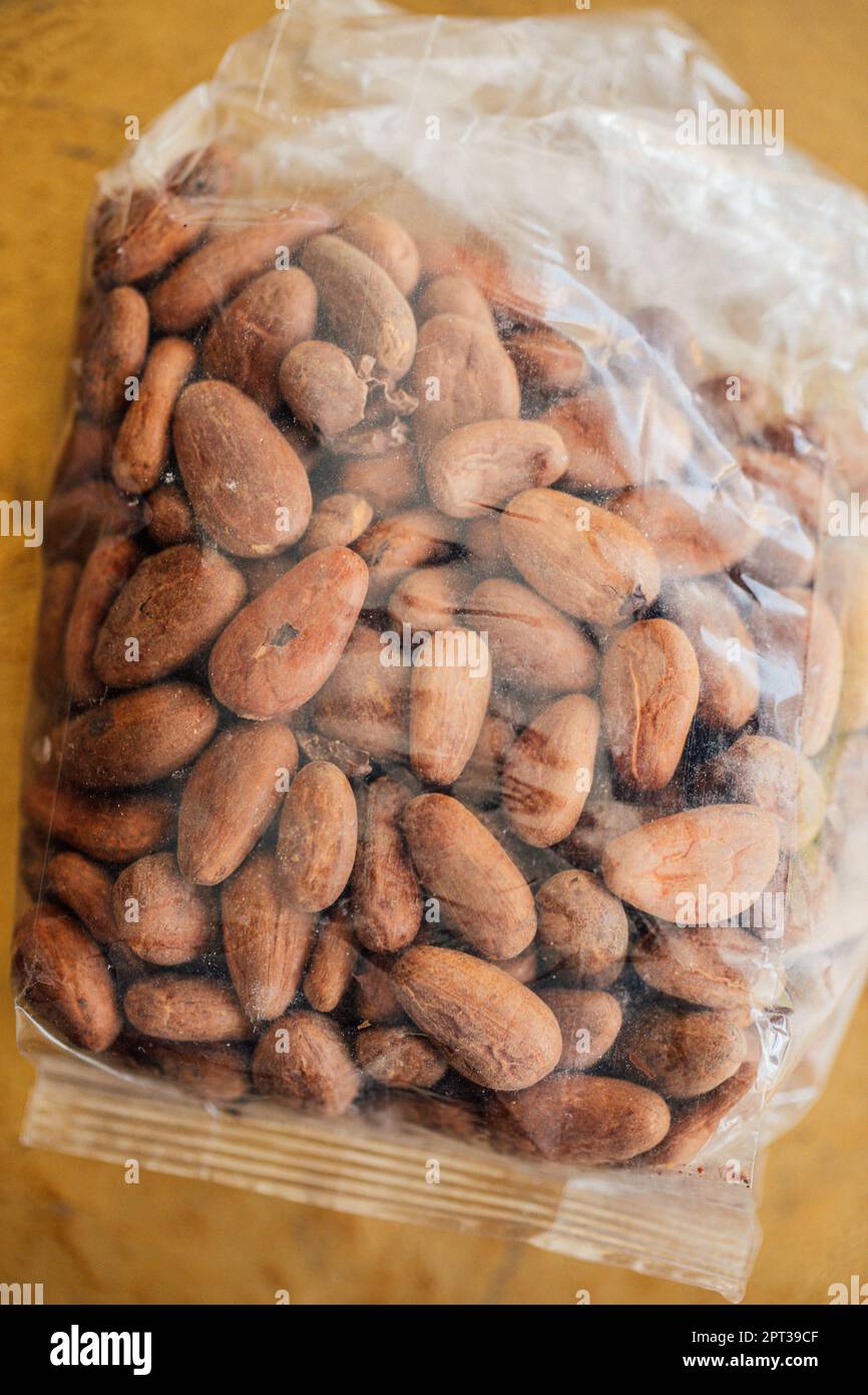 clear plastic bag of Mexican cocoa, cacao beans on golden background ...