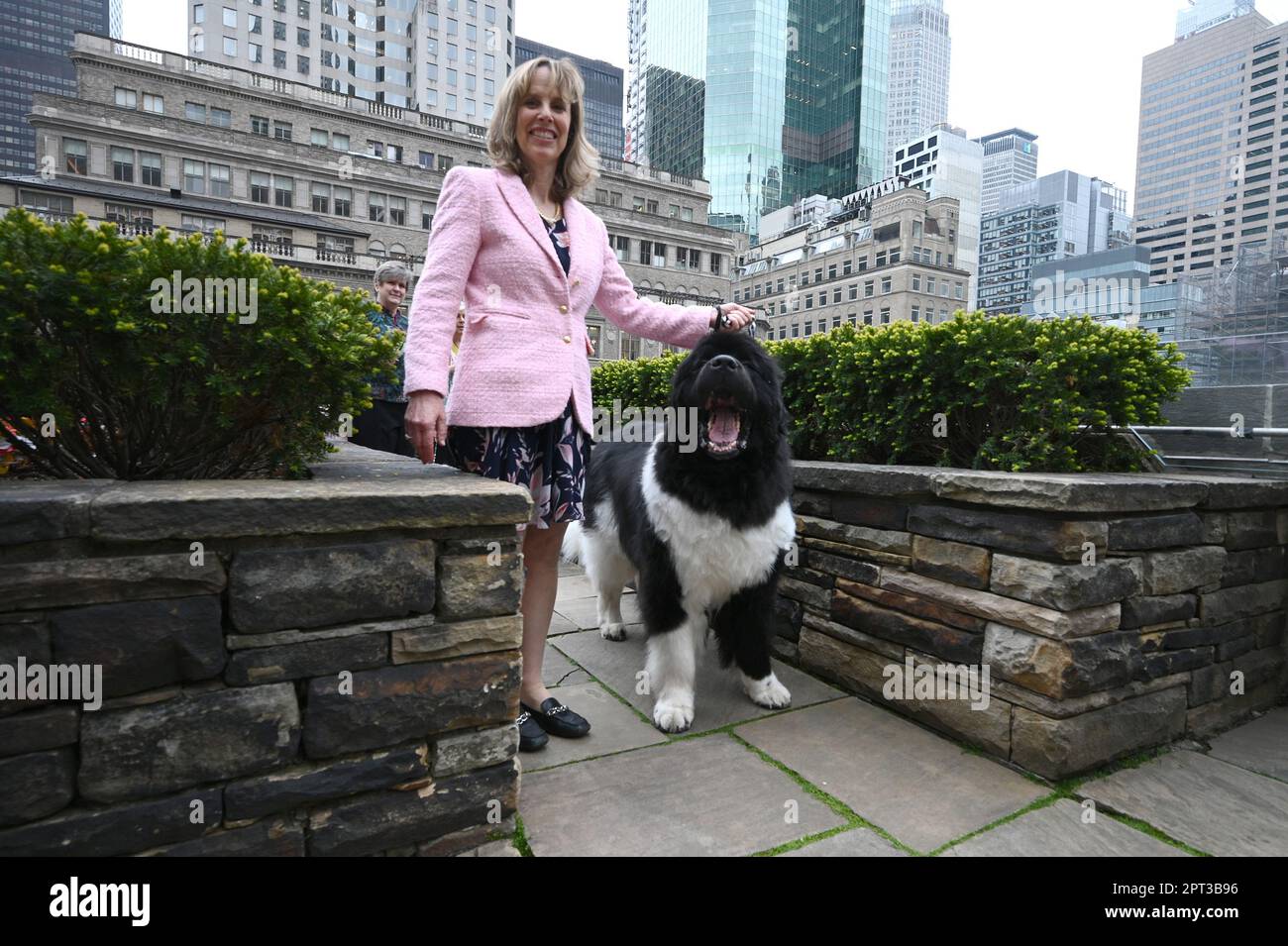 New York, USA. 27th Apr, 2023. Newfoundland named Baloo attends the ...