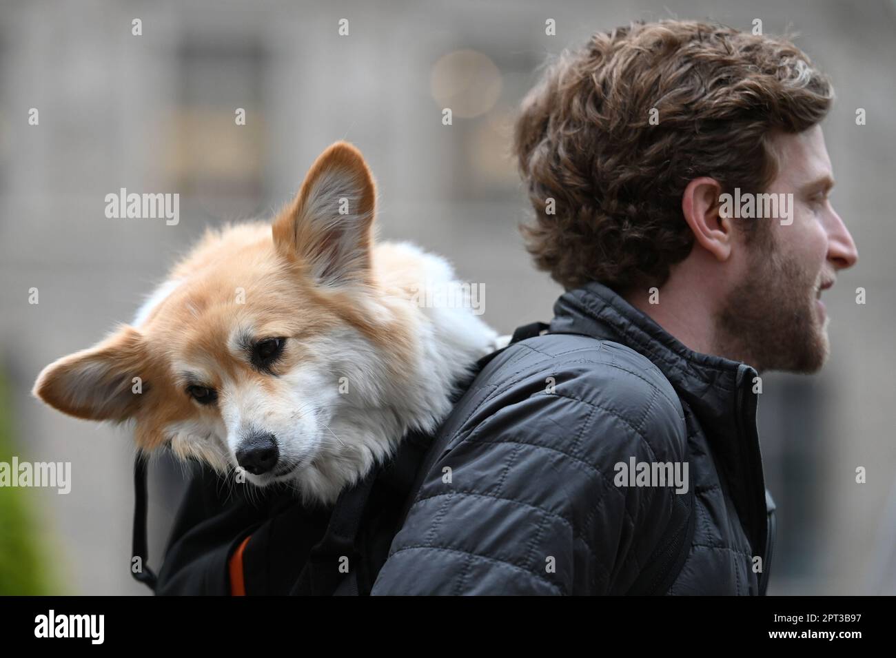 New York, USA. 27th Apr, 2023. Bryan Reisberg and his social media ...