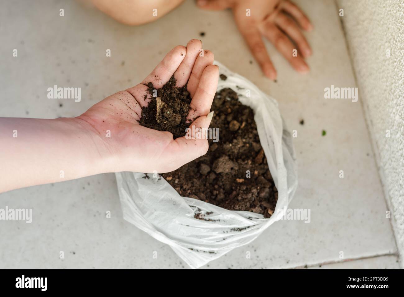 detail of a woman's hand grabbing earth from the sack to start planting ...