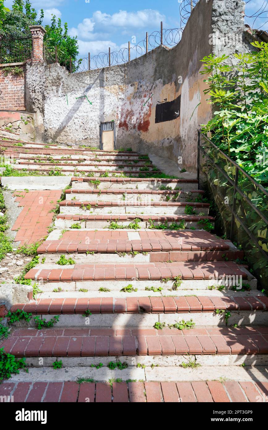 Walkway with red bricks stairs with trees on the right side leading to ...