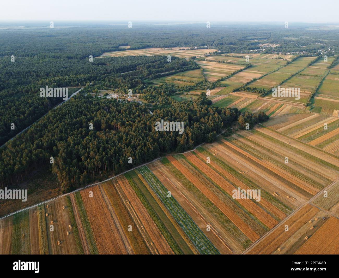 Countryside landscape. Aerial view of cultivated green fields ...