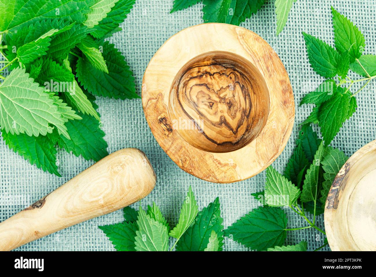 Fresh nettle bunch and wooden rustic mortar. Bush of stinging-nettles ...
