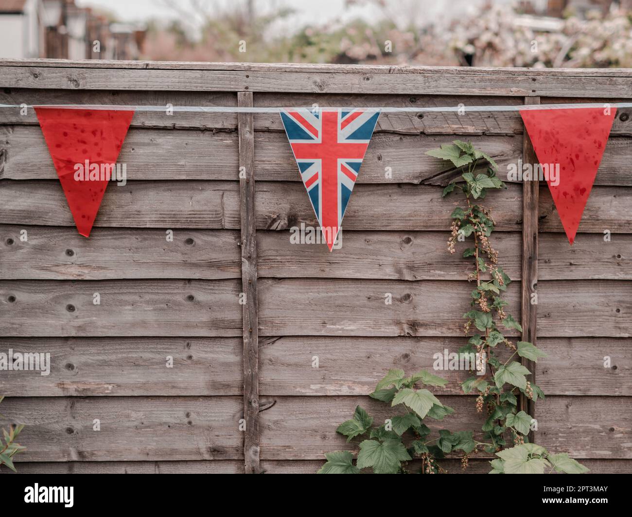 Flags of Great Britain waving on the wind in the garden of English ...