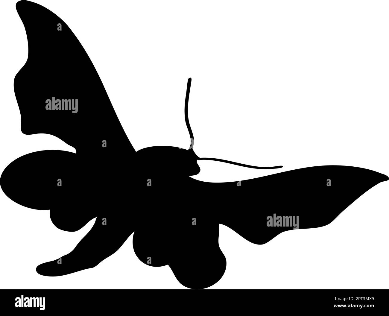 Catinsects hi-res stock photography and images - Alamy