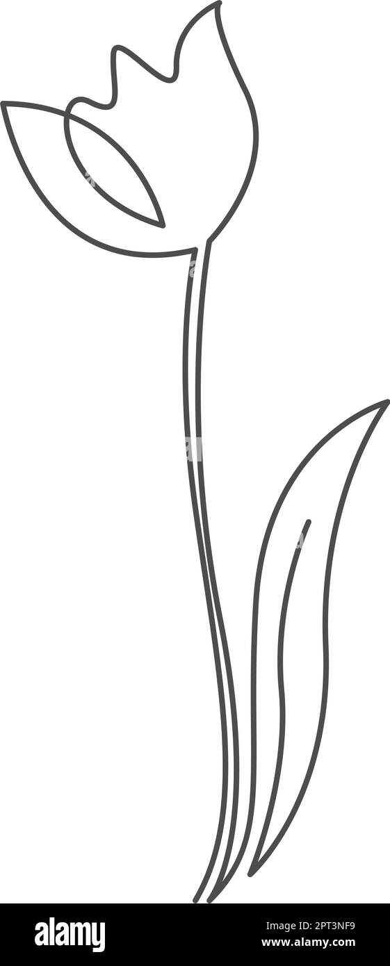 Tulip icon design vector Stock Vector Image & Art - Alamy