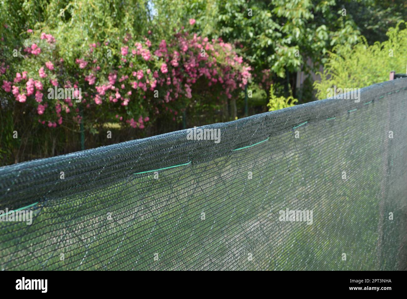 Installation of a shading net on a the chain-link fence Stock Photo - Alamy