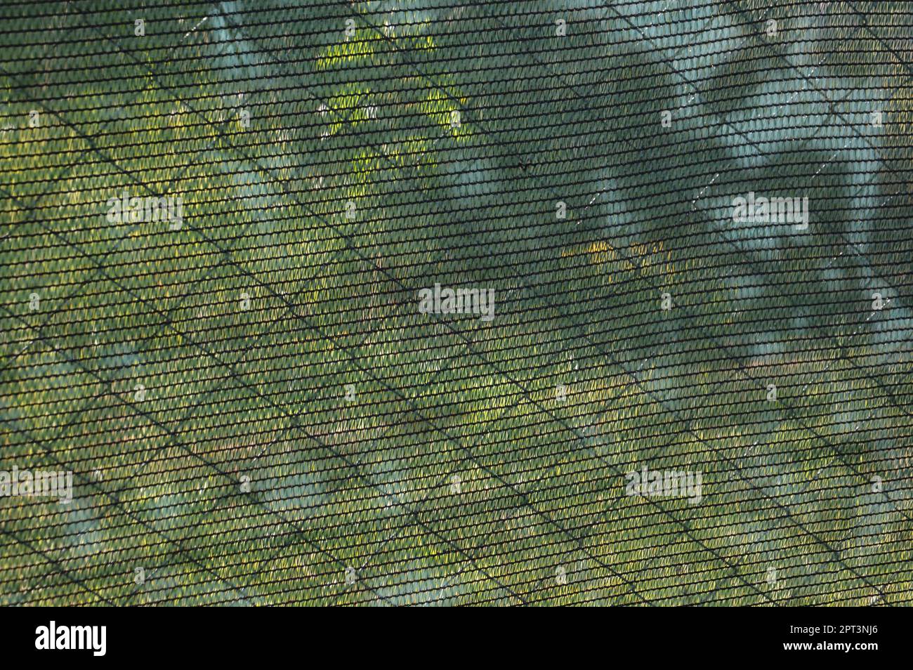 Installation of a shading net on a the chain-link fence Stock Photo - Alamy