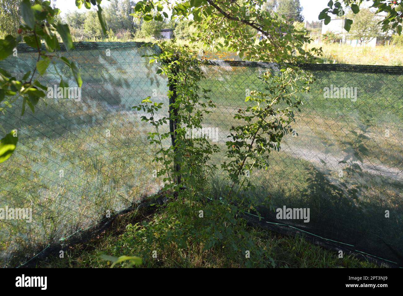 Installation of a shading net on a the chain-link fence Stock Photo - Alamy