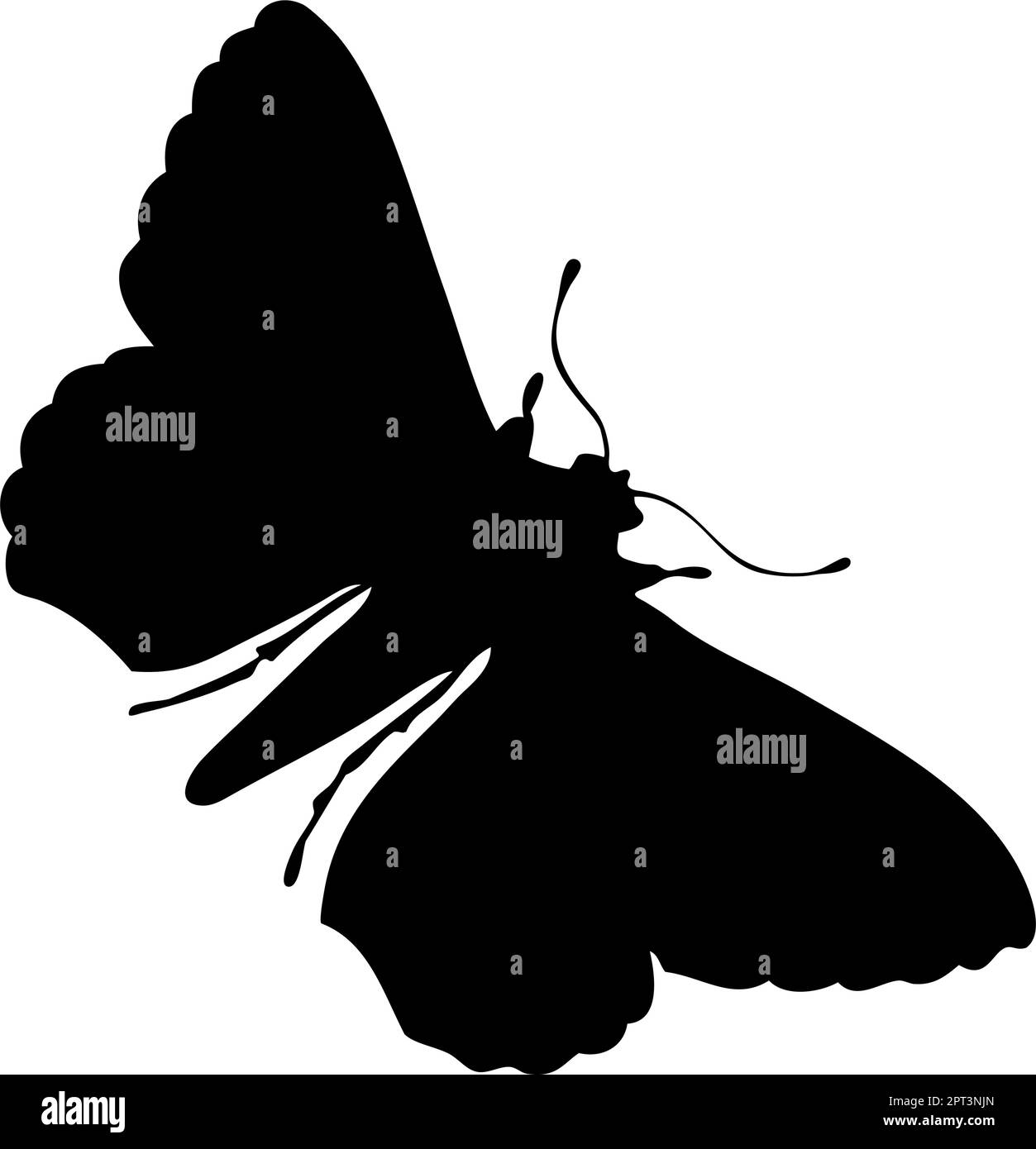 Nocturnal moth Stock Vector Images - Alamy