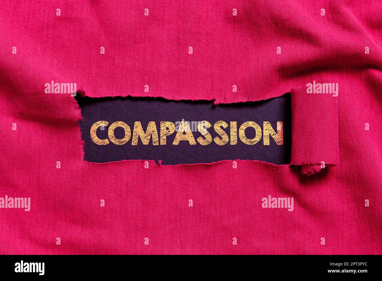 Inspiration showing sign Compassion, Word Written on empathy and ...