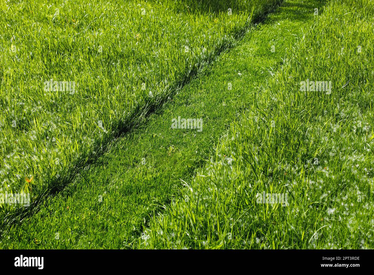 Wet lawn after mowing hi-res stock photography and images - Alamy