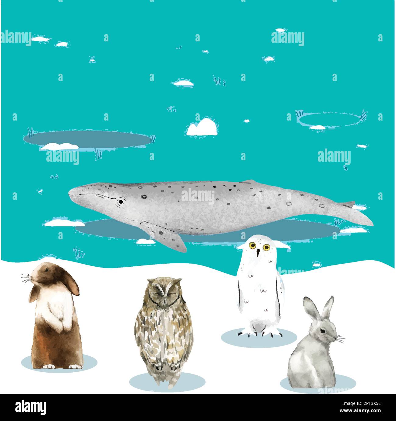 Watercolor set with cute, dolphin, Rabbit, owl Stock Vector Image & Art ...