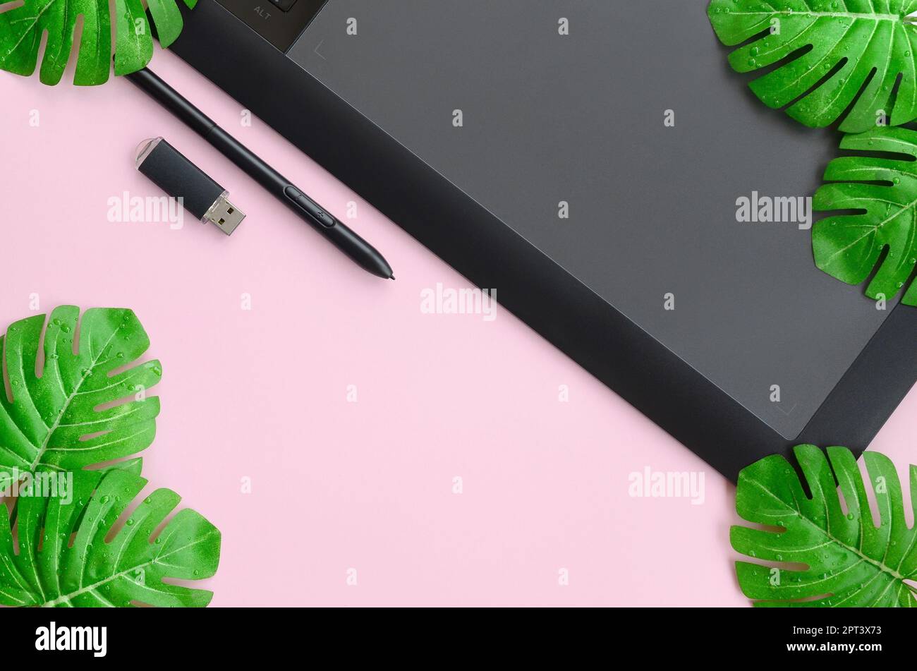 Graphic tablet and pen for illustrators and designers lies with USB ...