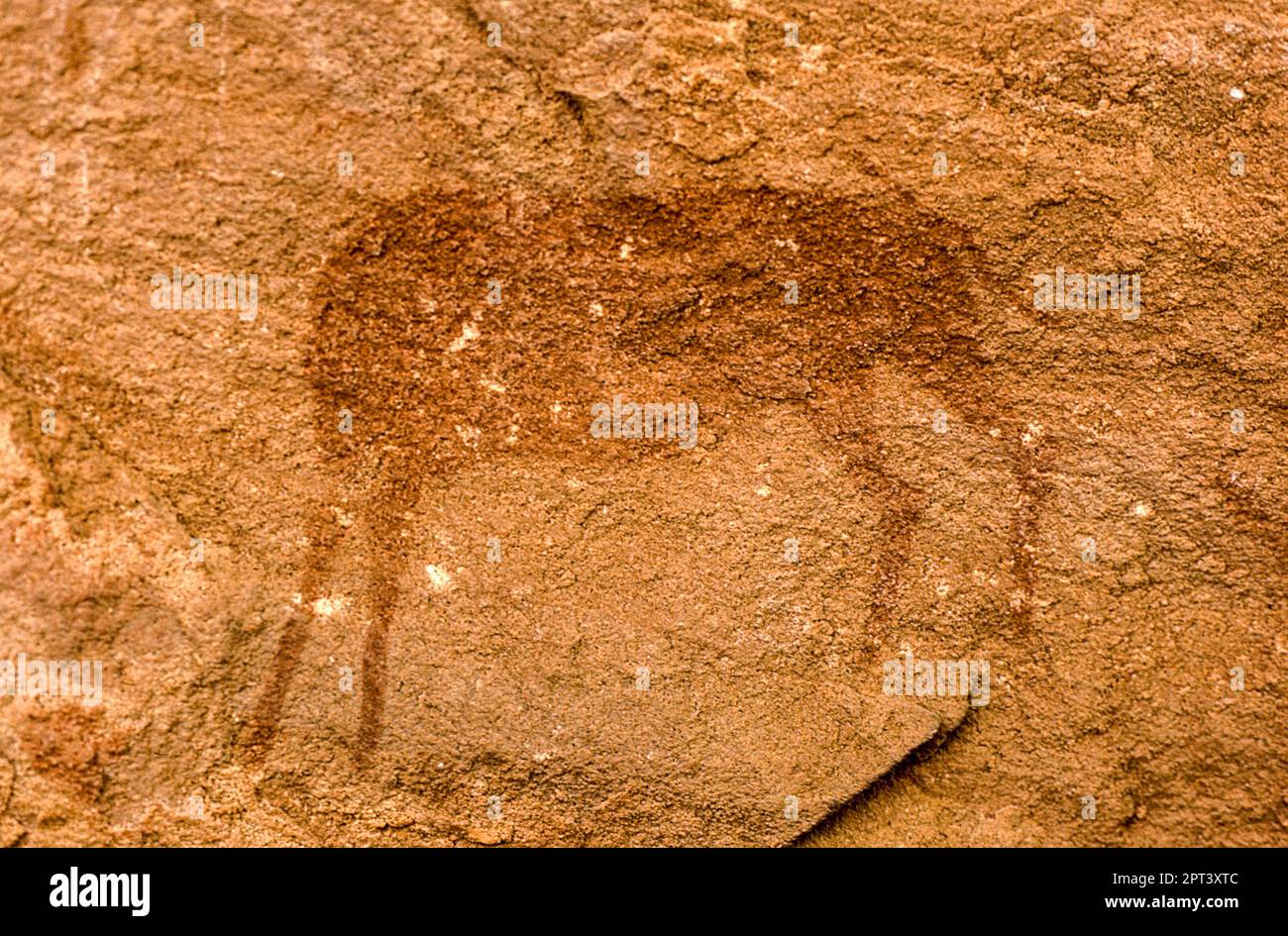 petroglyphs of the archaeological site of twyfelfontein, africa ...