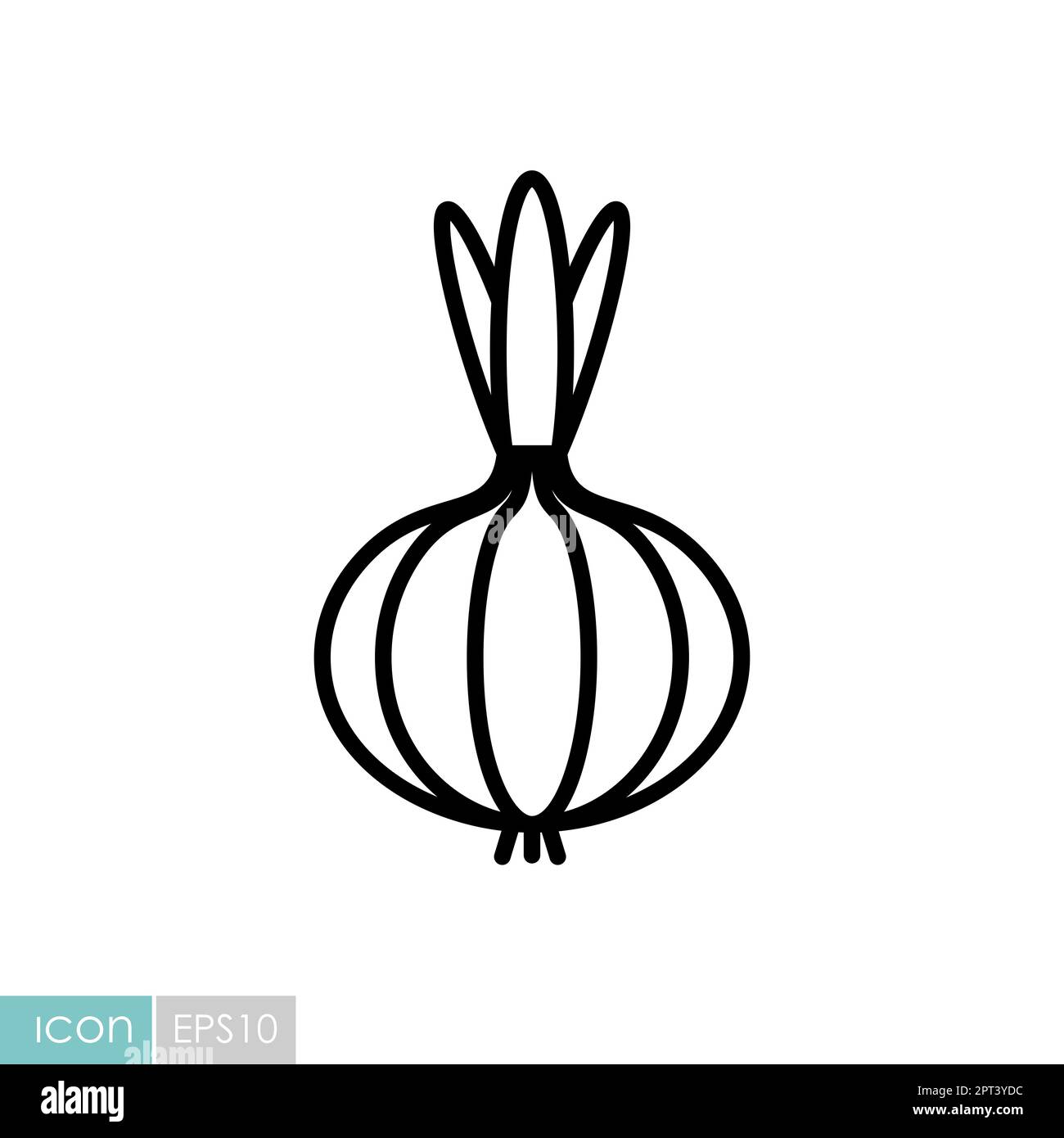 Onion isolated design vector icon. Vegetable sign. Graph symbol for ...