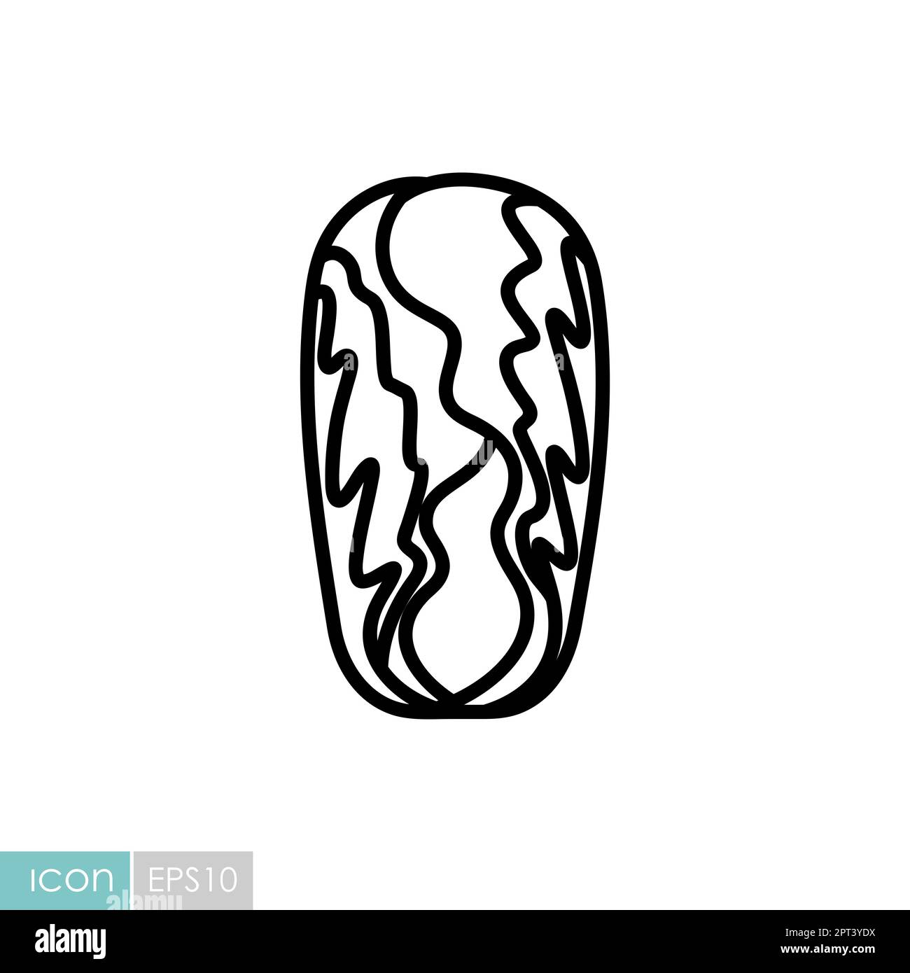 Chinese cabbage isolated vector icon. Vegetable sign. Graph symbol for ...