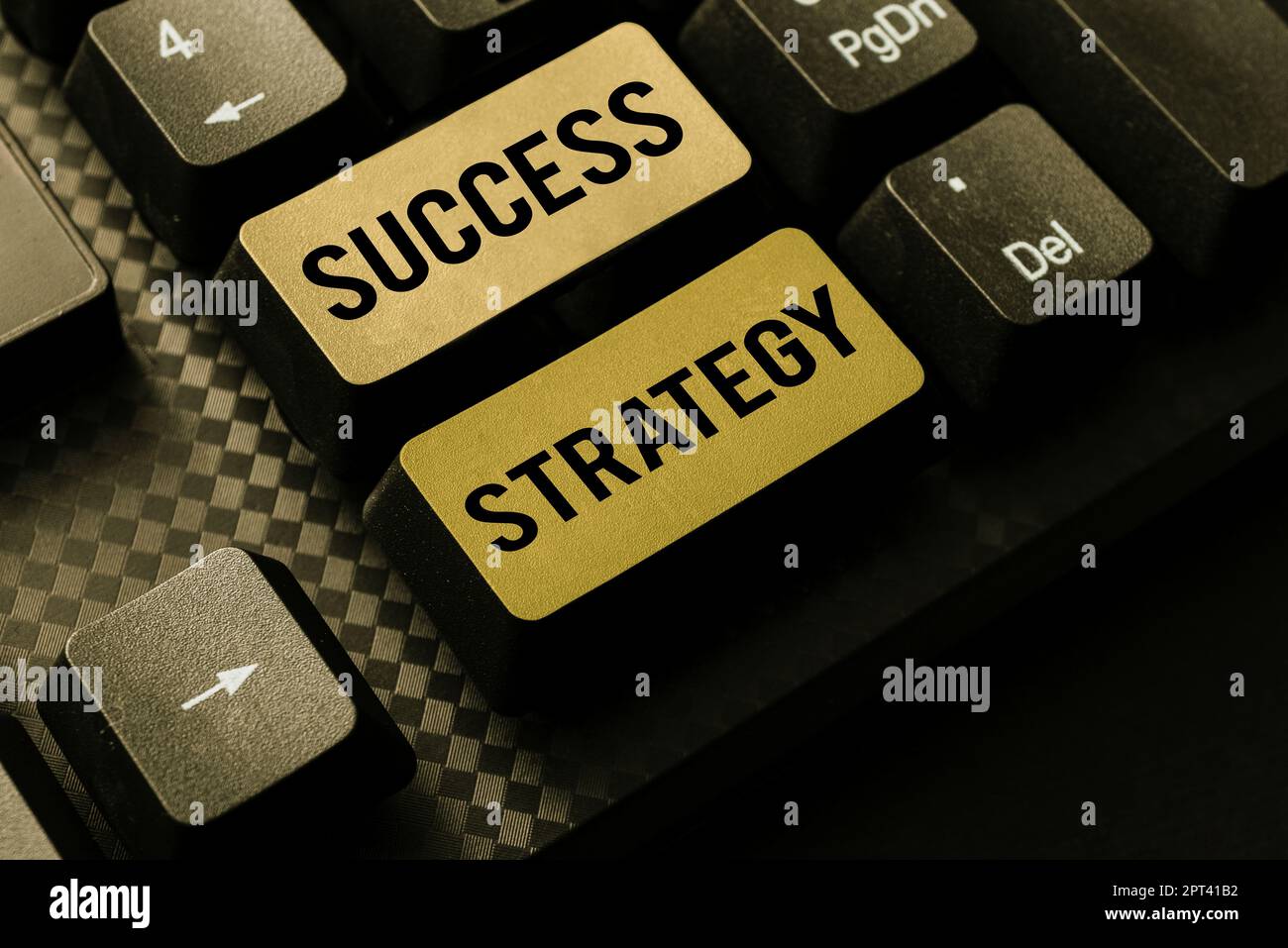 Sign displaying Success Strategy, Business showcase provides guidance ...