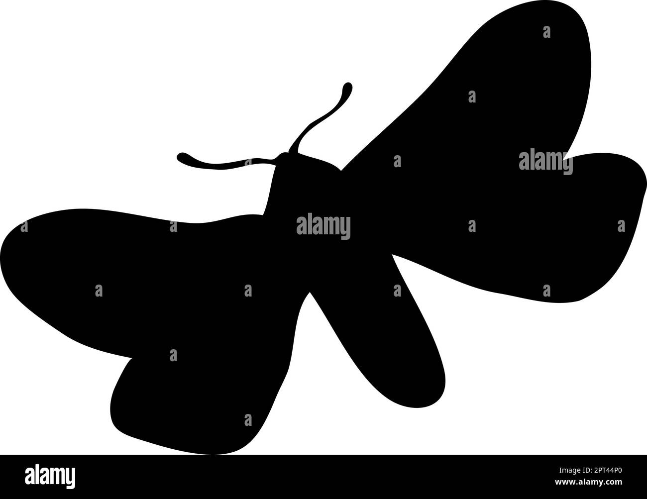 Catinsects hi-res stock photography and images - Alamy