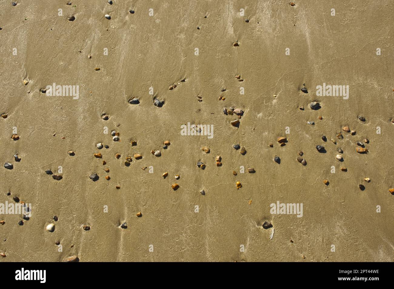 Smooth sandy beach with scattering of pebbles Stock Photo - Alamy