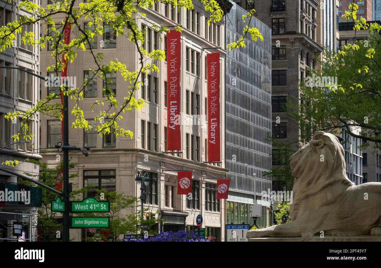 Nyc Library Foundation