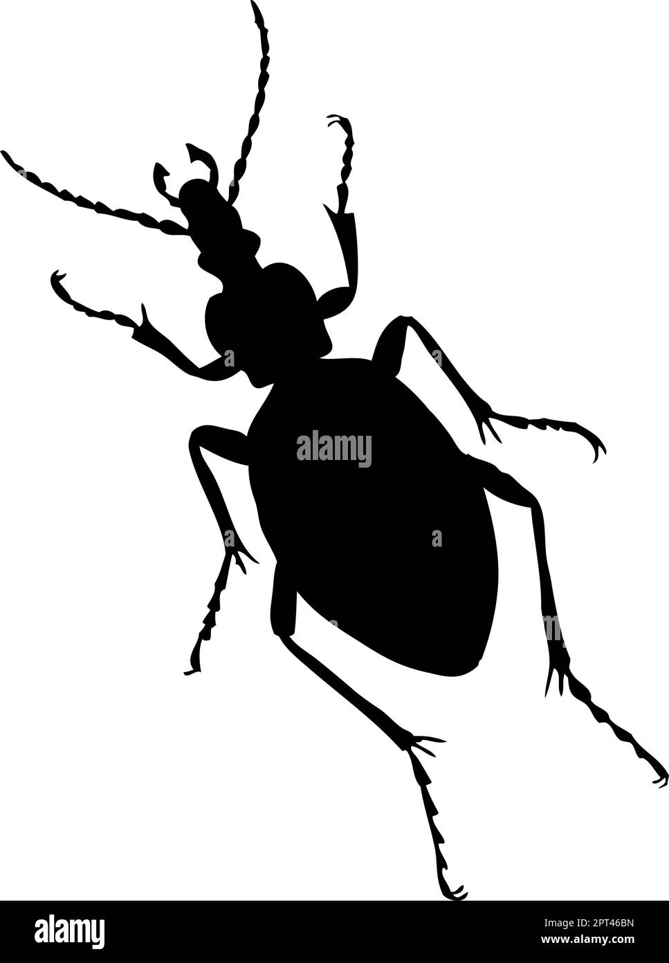 Large flying beetle hi-res stock photography and images - Alamy