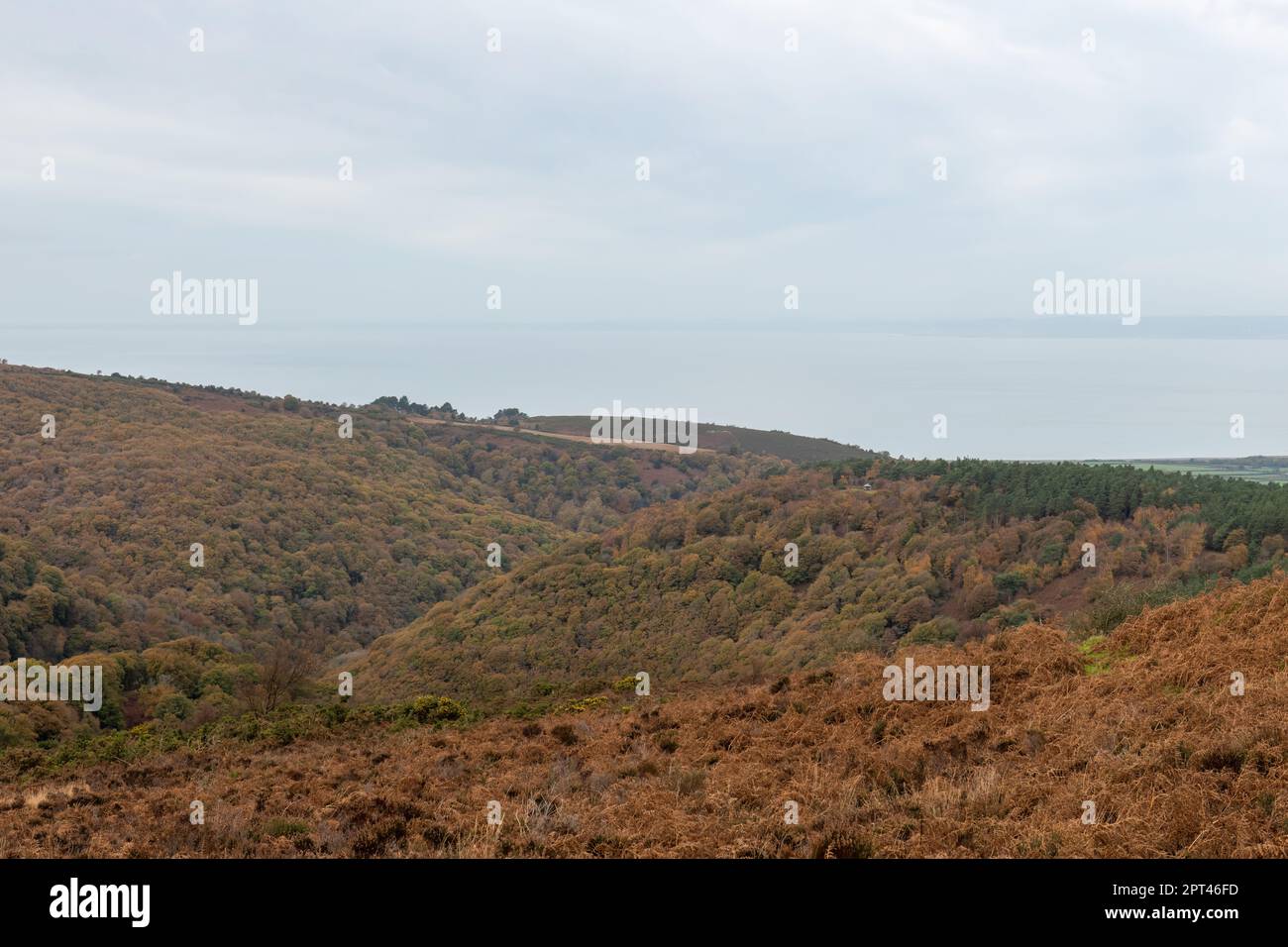 Landscape photo of the autumn colours at Horner woods in Exmoor ...